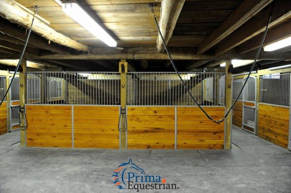 Breeding & Training Stables – Prima Equestrian